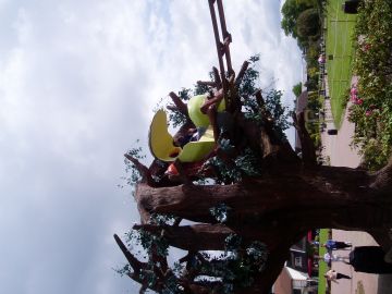 Get Set Go Tree Top Adventure - Coasterpedia - The Roller Coaster and ...