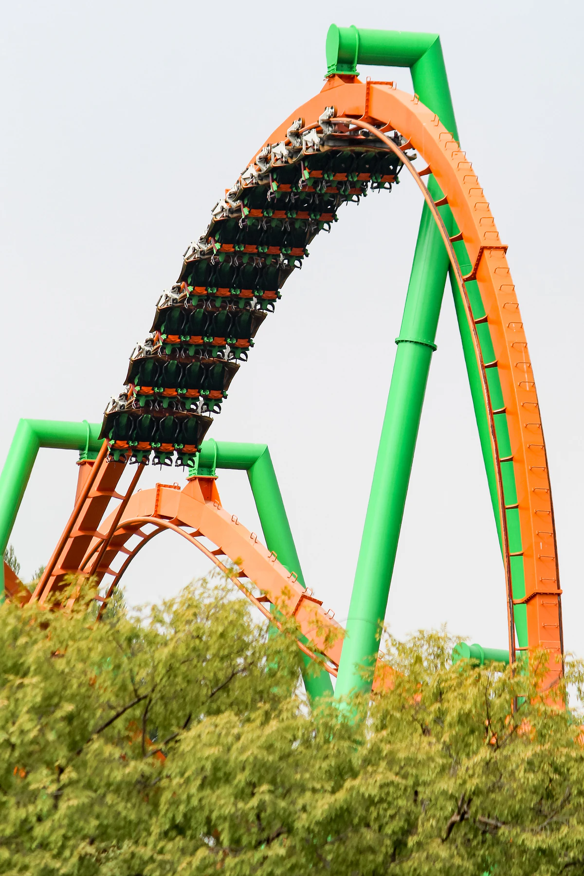 Tatsu - Coasterpedia - The Amusement Ride Wiki