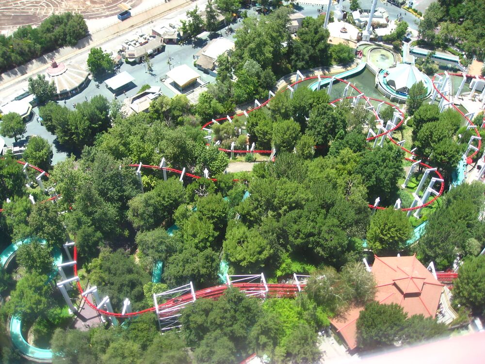 Magic Mountain Ninja