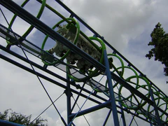 Coasterpedia:Guide to coaster types - Coasterpedia - The Amusement Ride ...