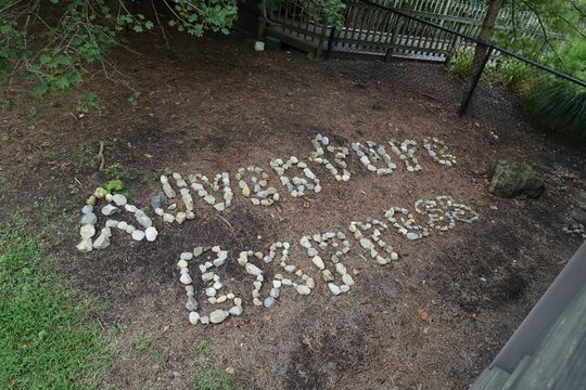 Adventure Express - Coasterpedia - The Roller Coaster and Flat Ride Wiki