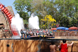 SheiKra - Coasterpedia - The Amusement Ride Wiki