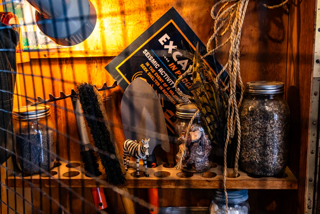 File:Rapterra (Kings Dominion) 2025 05.jpg - Coasterpedia - The ...