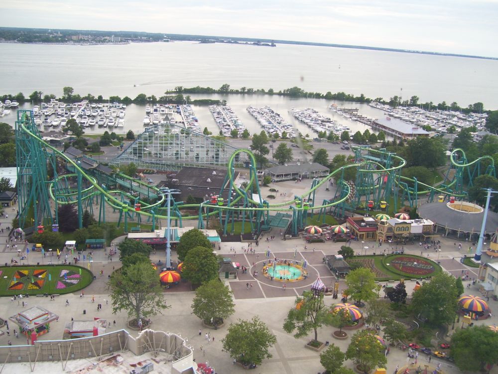 Raptor Roller Coaster