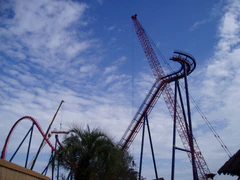 SheiKra - Coasterpedia - The Amusement Ride Wiki