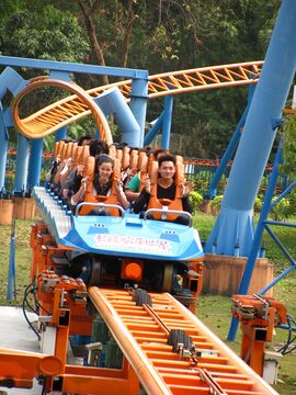 10 Inversion Roller Coaster - Coasterpedia - The Roller Coaster and ...