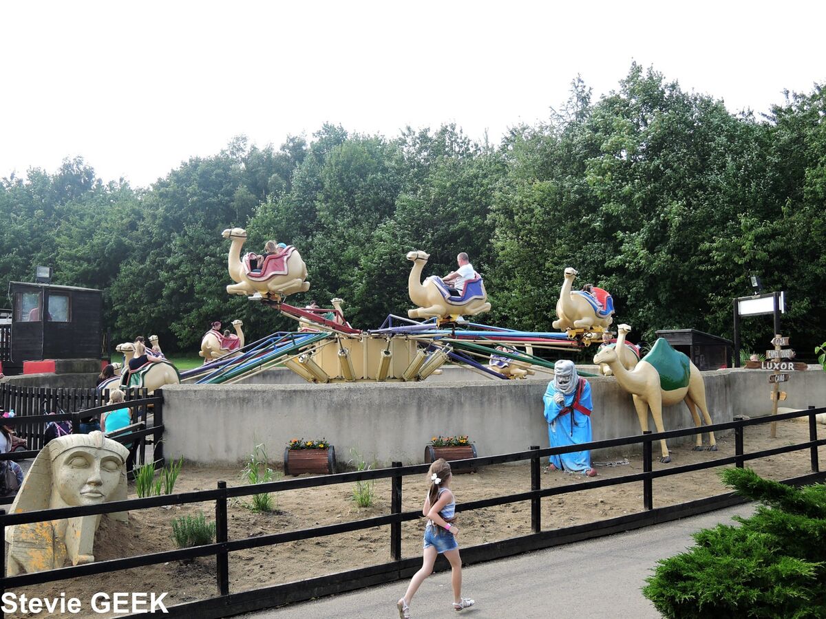 Flying Camels - Coasterpedia - The Roller Coaster and Flat Ride Wiki