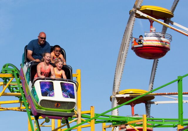 Crazy Cat Coaster - Coasterpedia - The Roller Coaster and Flat Ride Wiki