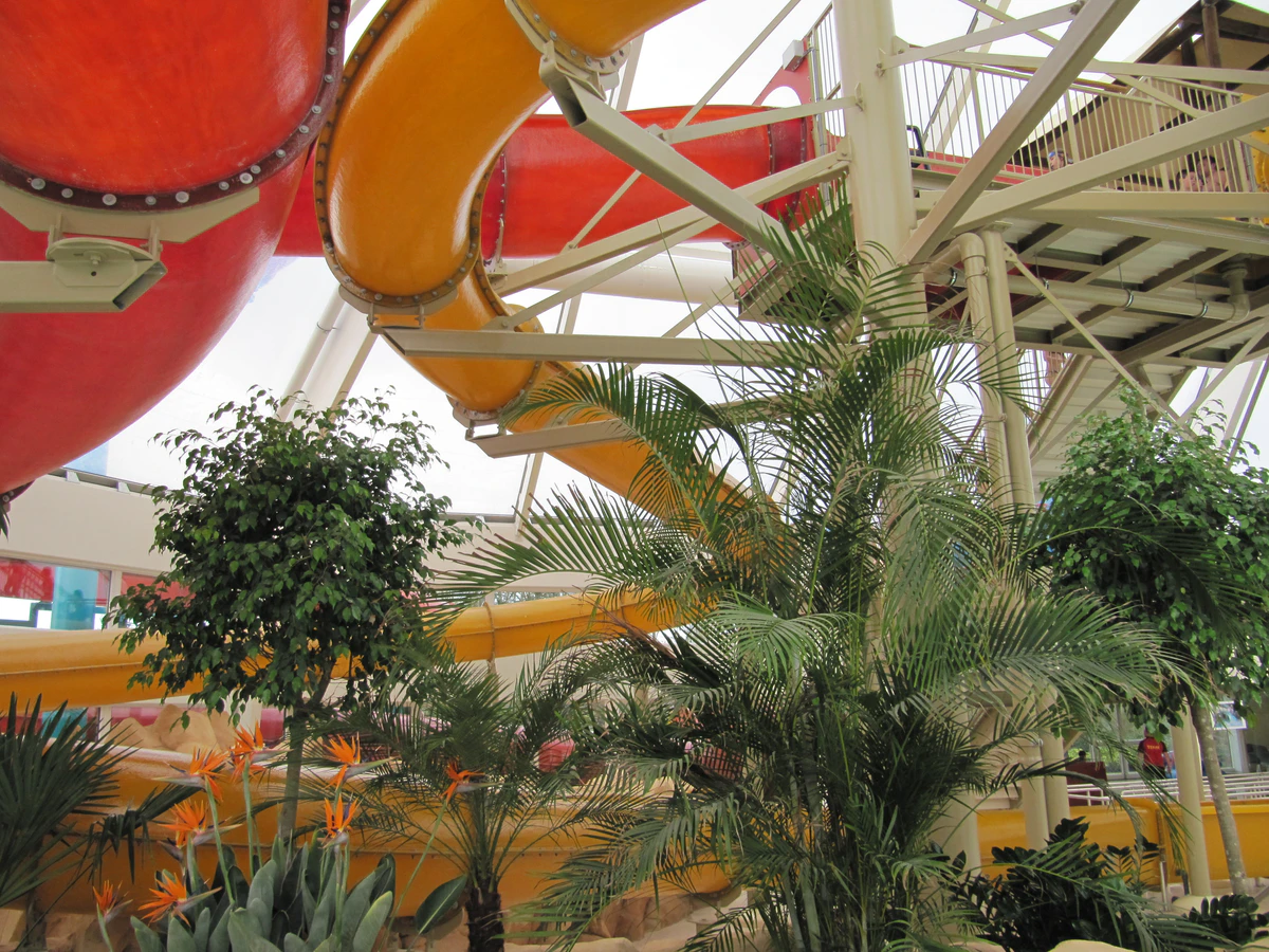 Surf (Aqualibi) - Coasterpedia - The Amusement Ride Wiki